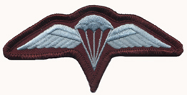 Christies - Para Wings